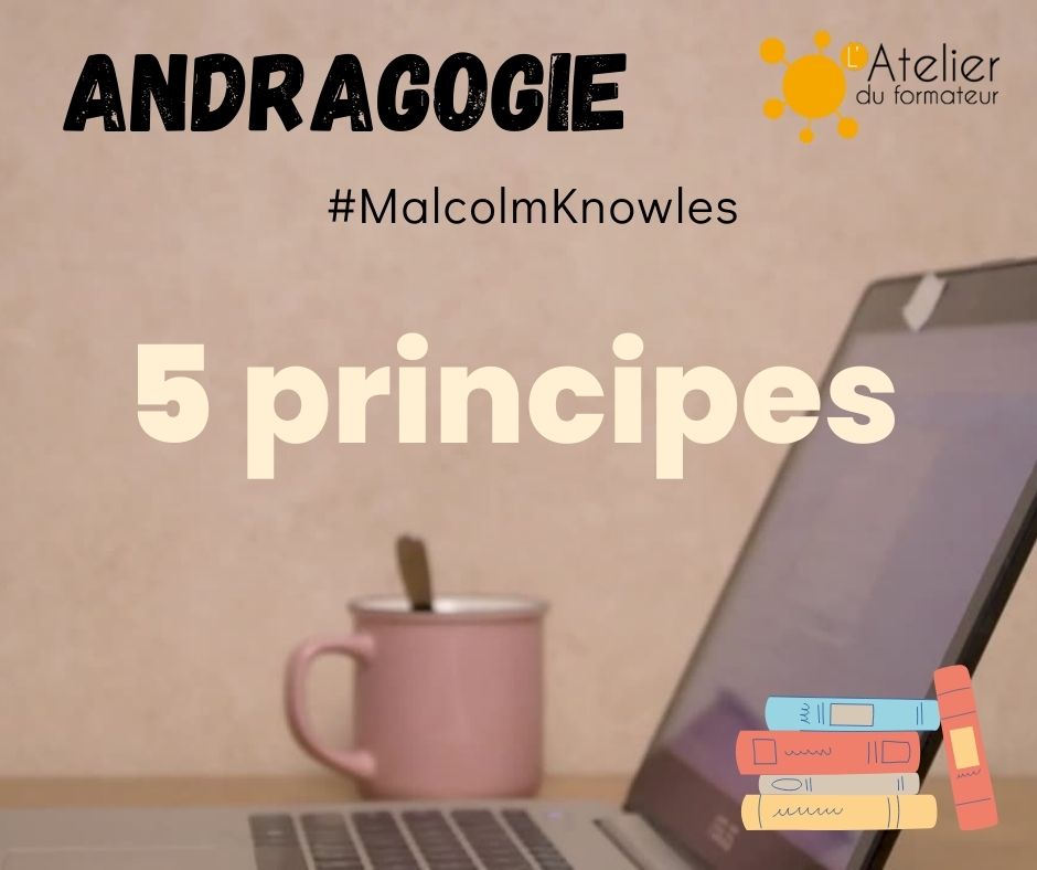 Andragogie : 5 principes – L'atelier du formateur