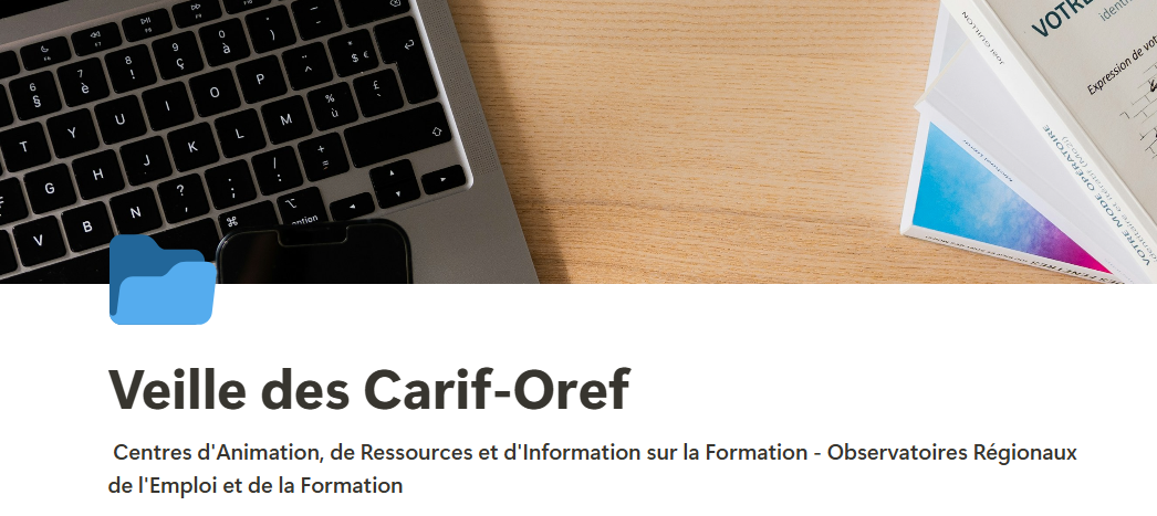 Panorama des activités de veille des Carif-Oref – L'atelier du formateur